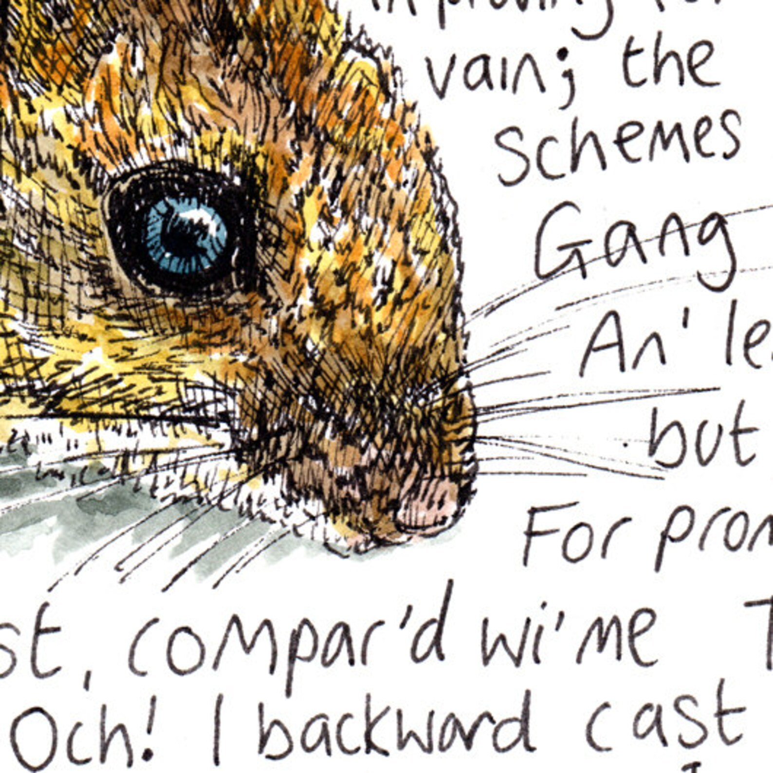 To A Mouse Robert Burns Mounted Print From Original Pen Sketch - Etsy UK