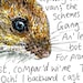 To A Mouse Robert Burns Mounted Print From Original Pen Sketch - Etsy UK