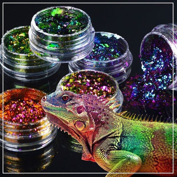 Chameleon Art - Etsy