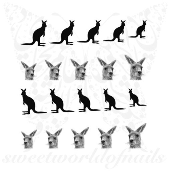 Kangaroo Nail Art Nail Water Decals - Etsy