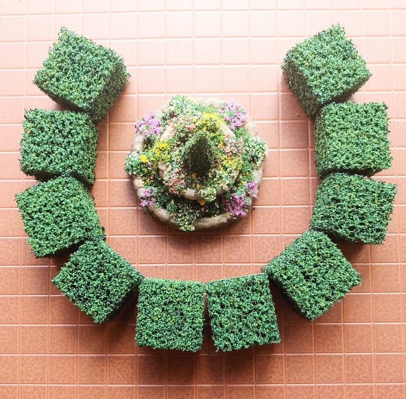 Miniature Boxwood Hedges 1-1/2 Square 10pc Squeezable | Etsy