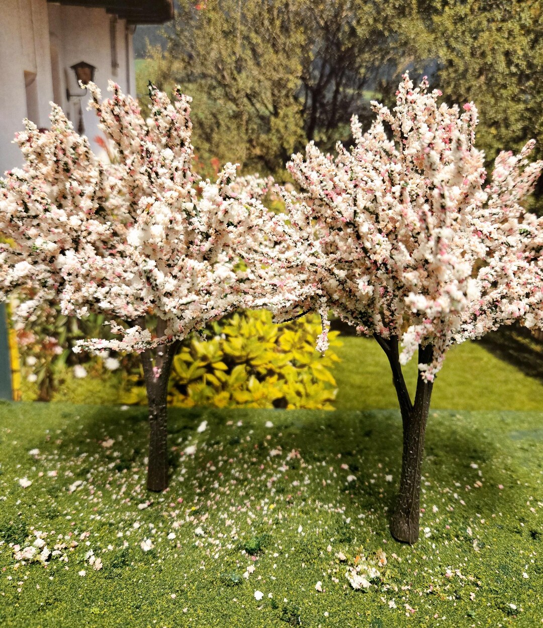Miniature Cherry Blossom Trees Sakura Mini Model 6" Tall+stands ...