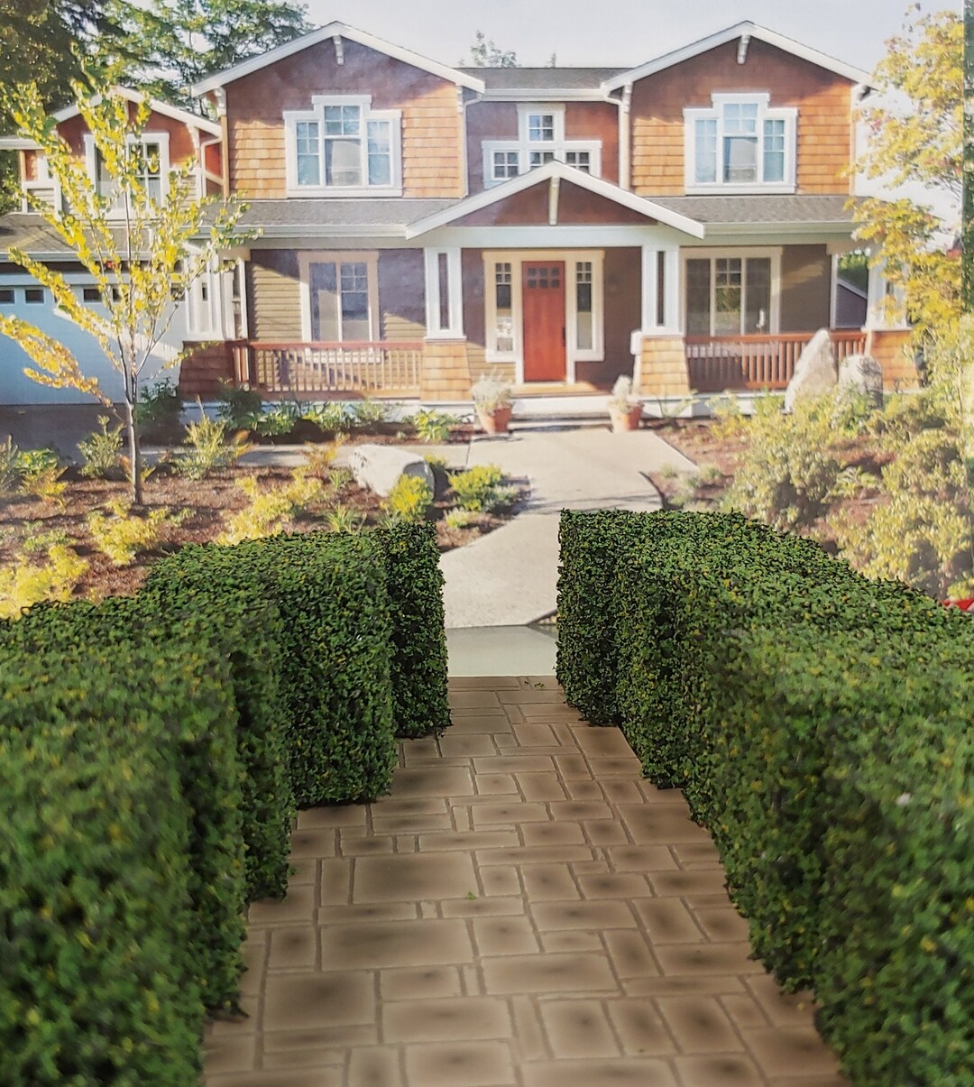 Miniature Boxwood Hedges 1-1/2" Square 10pc- Squeezable - for ...
