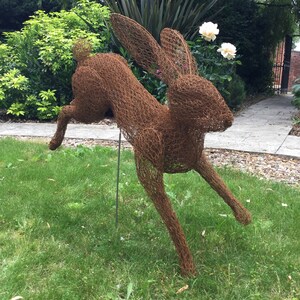 Wire Sculpture Hare: a Beautiful Garden Ornament - Etsy UK