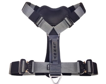 Metal Dog Harness | Etsy