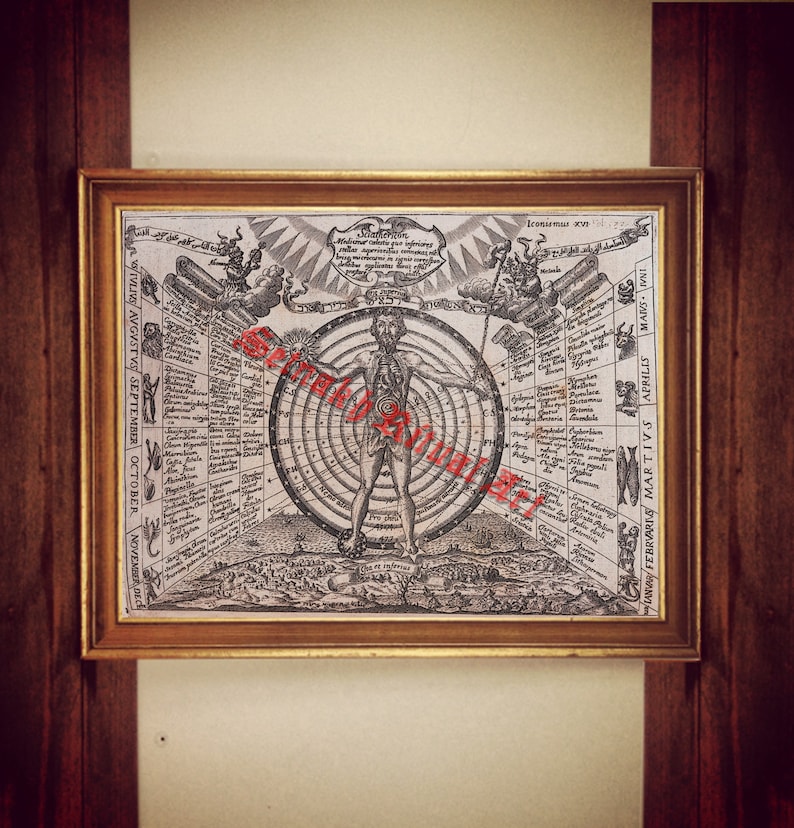 Astronomical chart print astronomy occult poster zodiac | Etsy