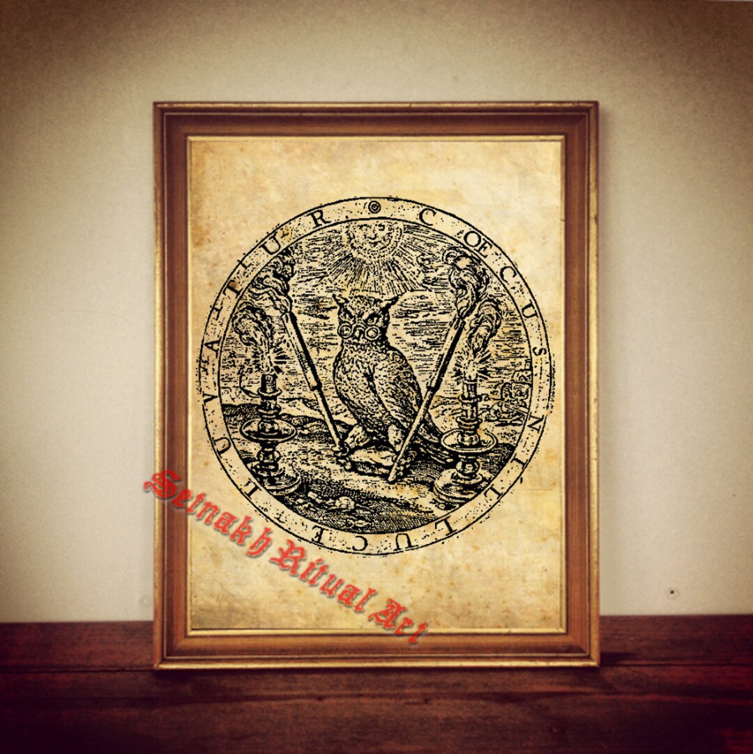 Owl Print, Alchemical Poster, Occult Knowledge, Antique Paper, Canvas ...