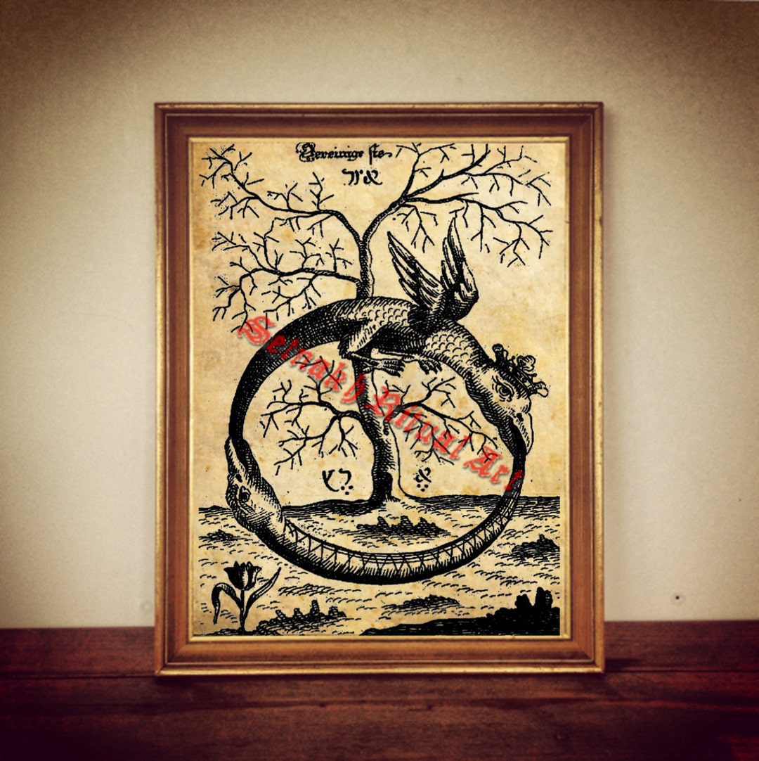 215# Ouroboros Print, Hermetic, Gnostic Snake Illustration, Ouroboros ...