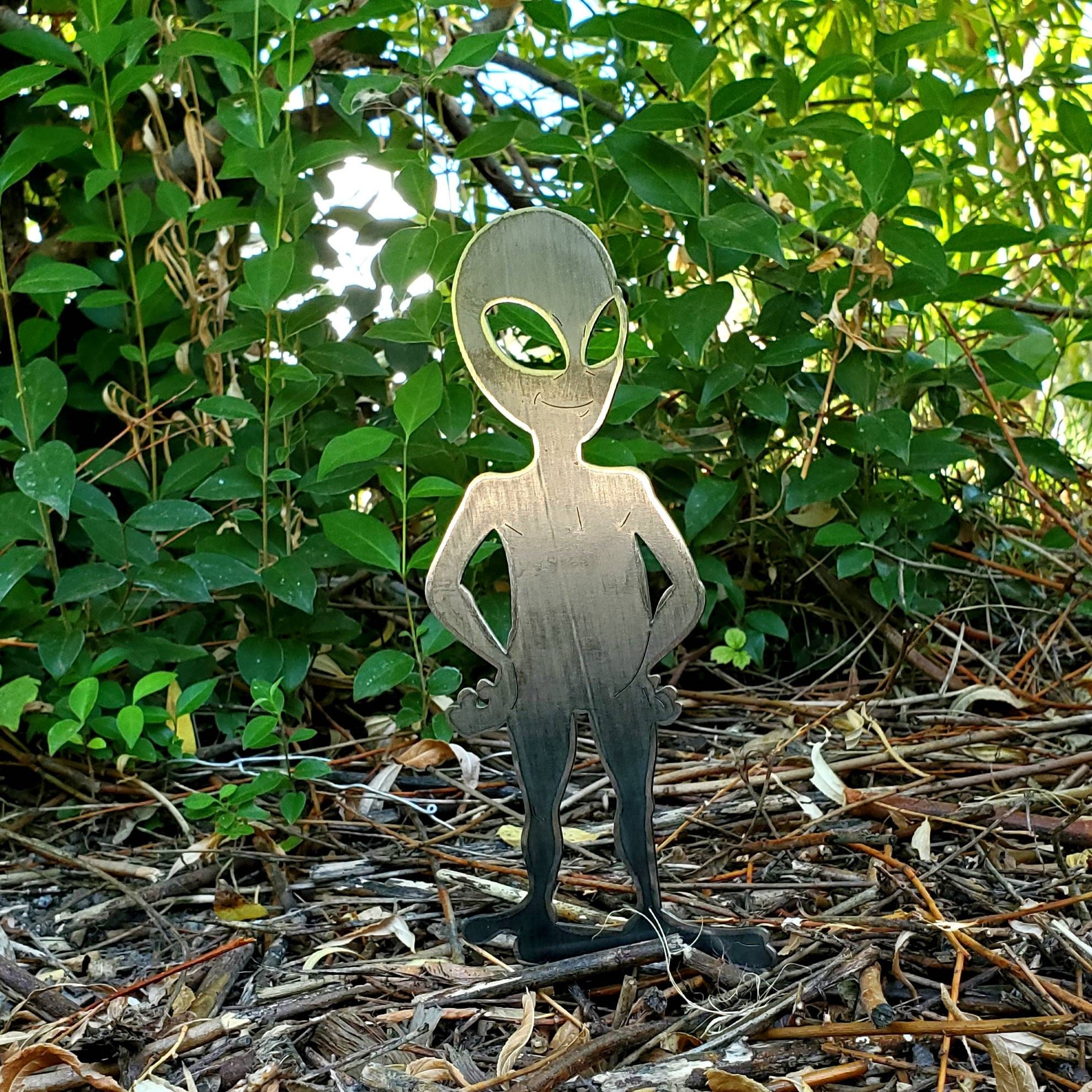 Small Alien Yard Stake Rusty Metal Funny Martian UFO Garden - Etsy