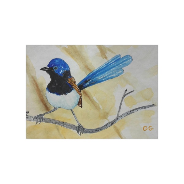 Blue Wren - Etsy Australia