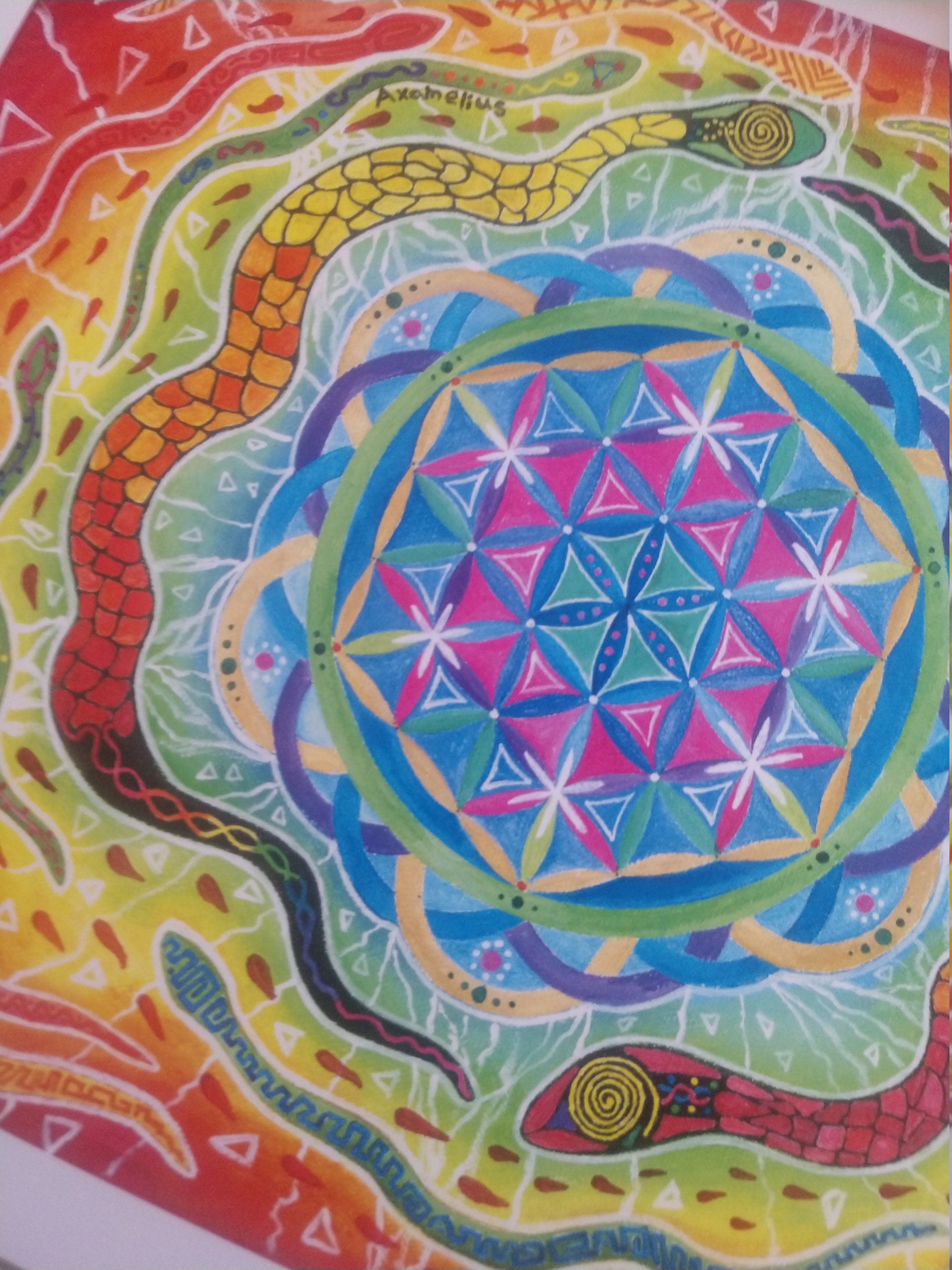 Snake Vortex Sacred Geometry Paper Print - Etsy