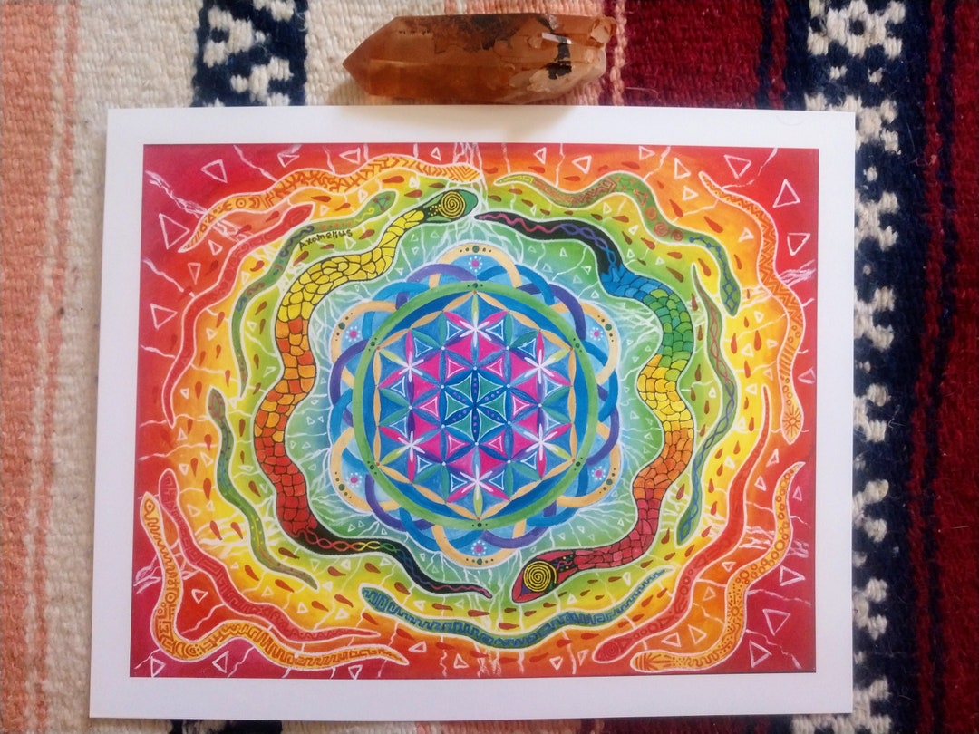 Snake Vortex Sacred Geometry Paper Print - Etsy
