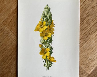 Edward Hulme Art - Etsy