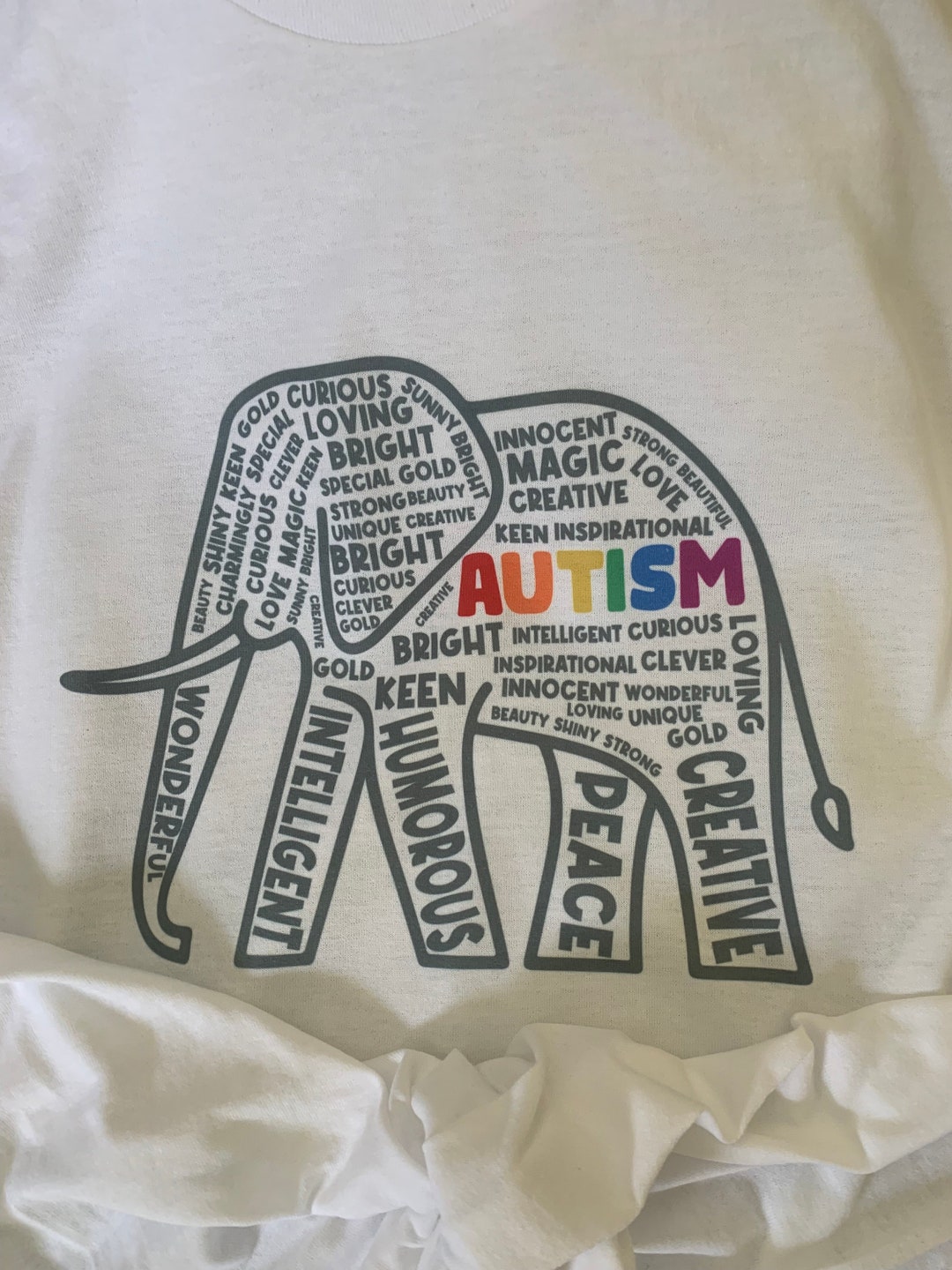 Autism Shirt, Autistic Pride Tee Shirt, Autism Awareness Tshirt ...