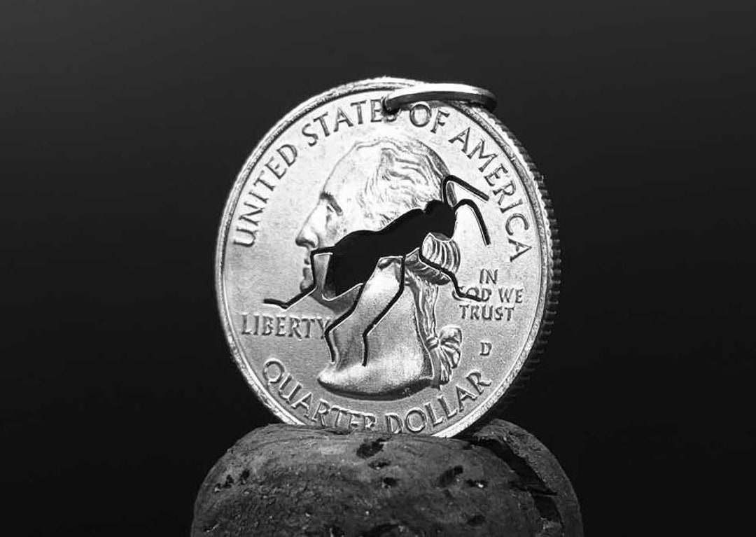 Ant Necklace Made From Coin, Ant Lover Pendant Ant Gift for Ant Lover ...