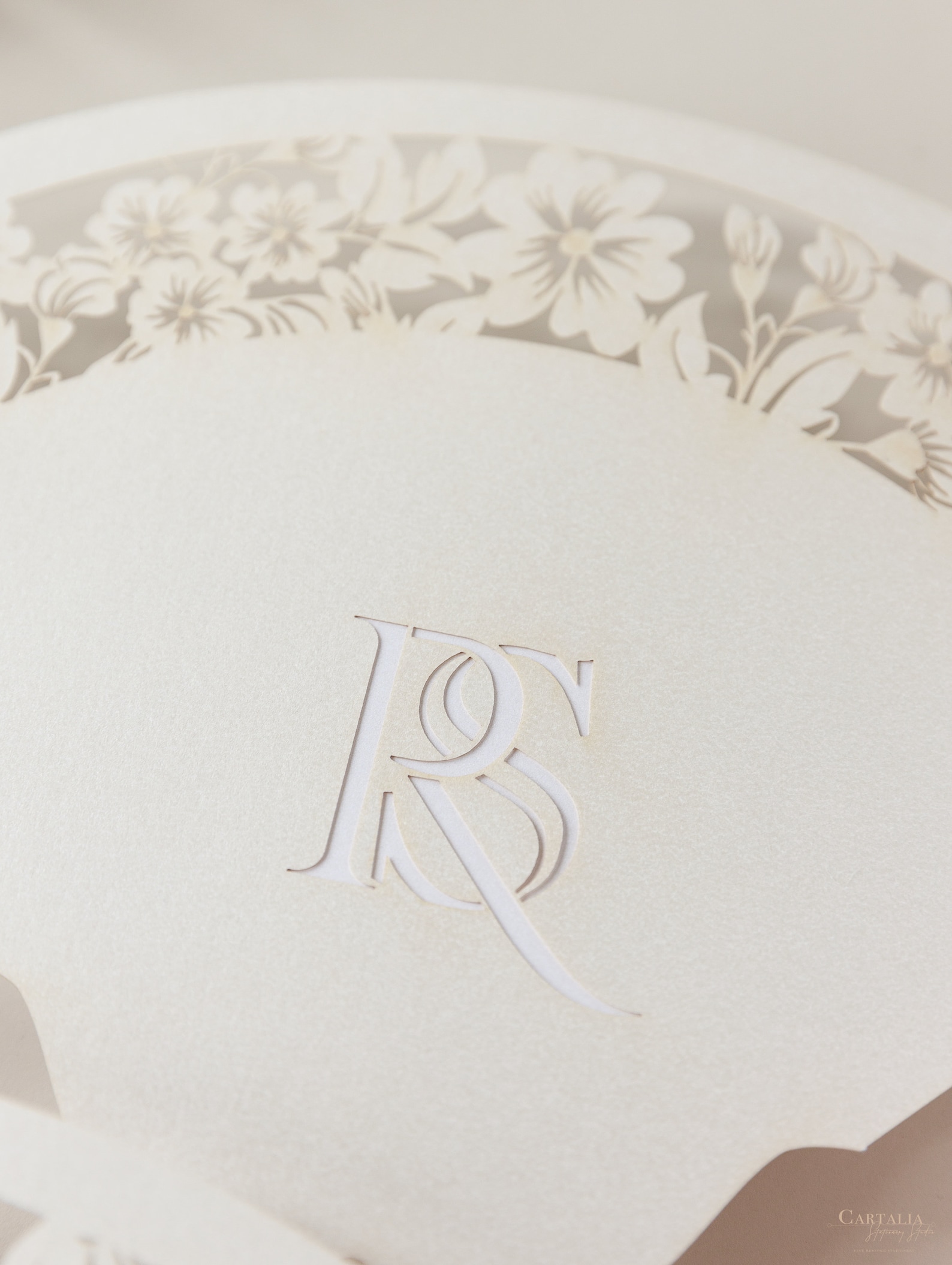 Luxury Wedding Petal Program Fan With Timeline & Order of Day, Wedding ...