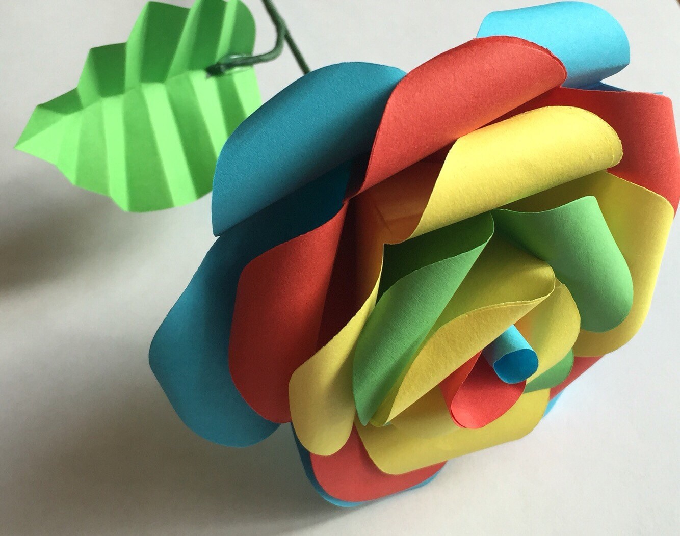 Rainbow Paper Rose Paper Roses Gay Pride LGBT Everlasting | Etsy