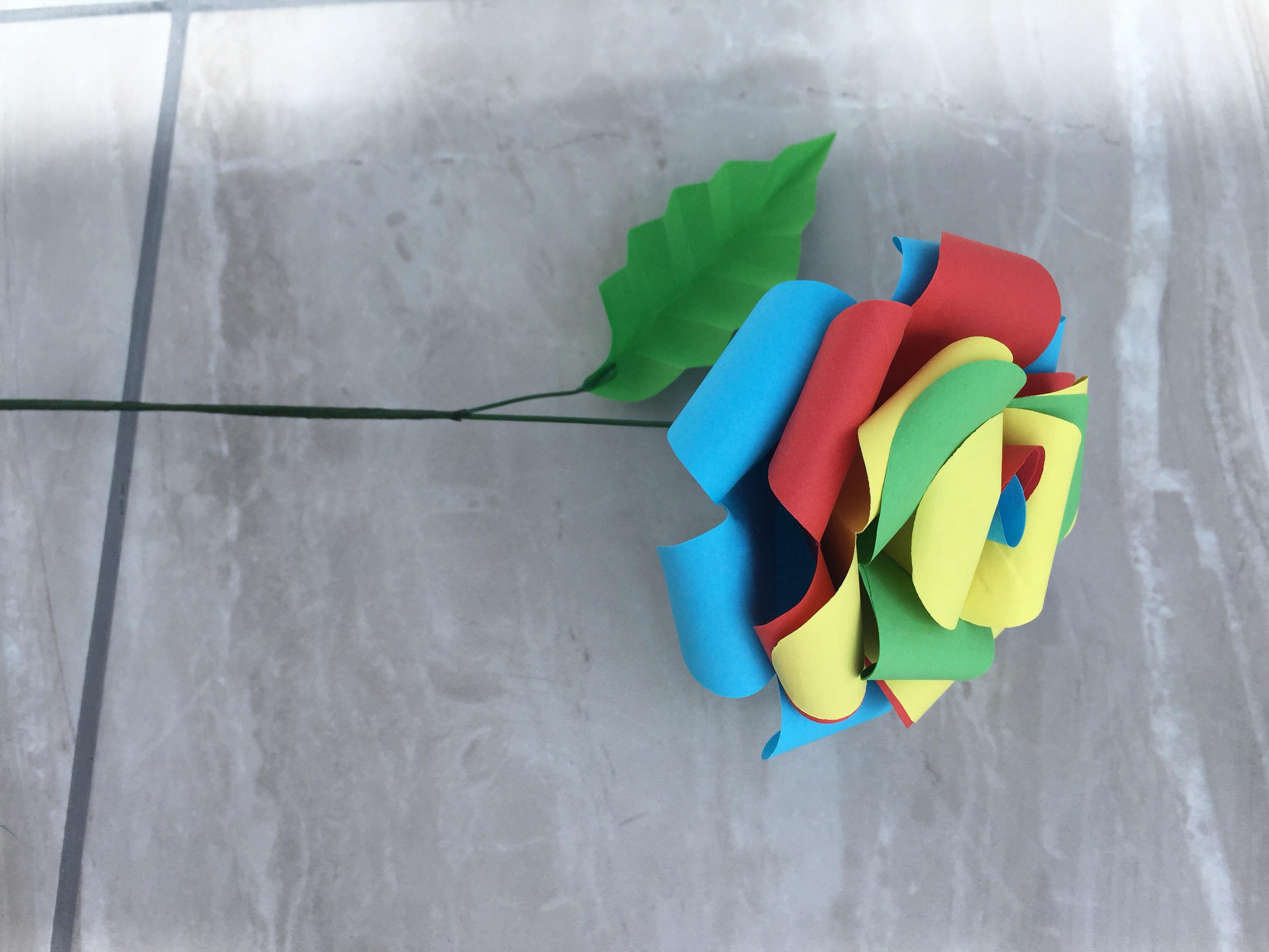 Rainbow Paper Rose Paper Roses Gay Pride LGBT Everlasting | Etsy