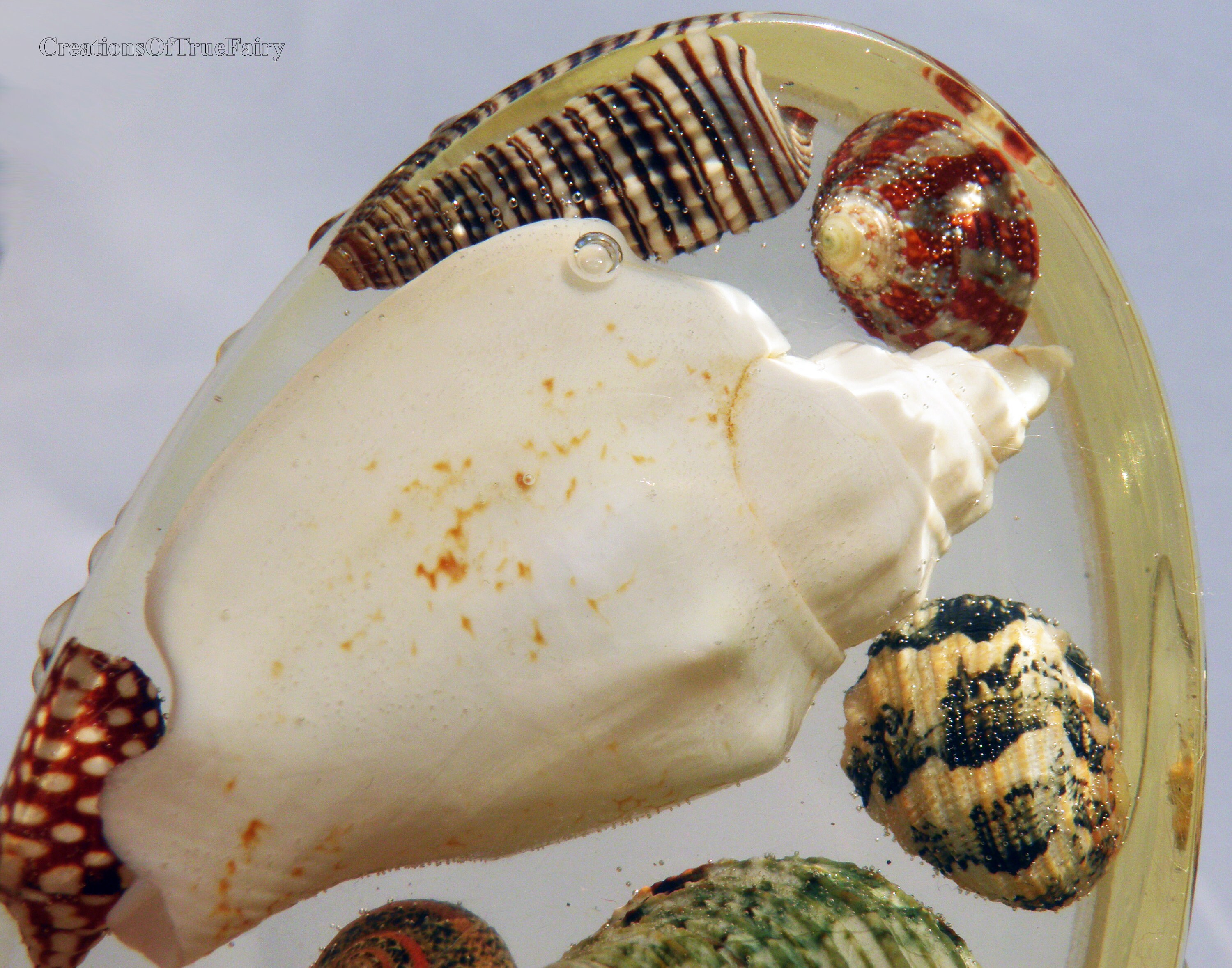 Sea shell paperweight Gift for coworker Best friend Boyfriend | Etsy