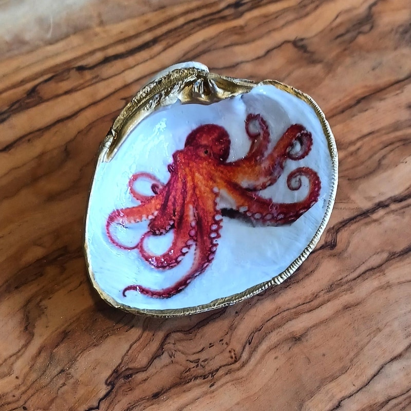 Clam Shell Dish - Etsy