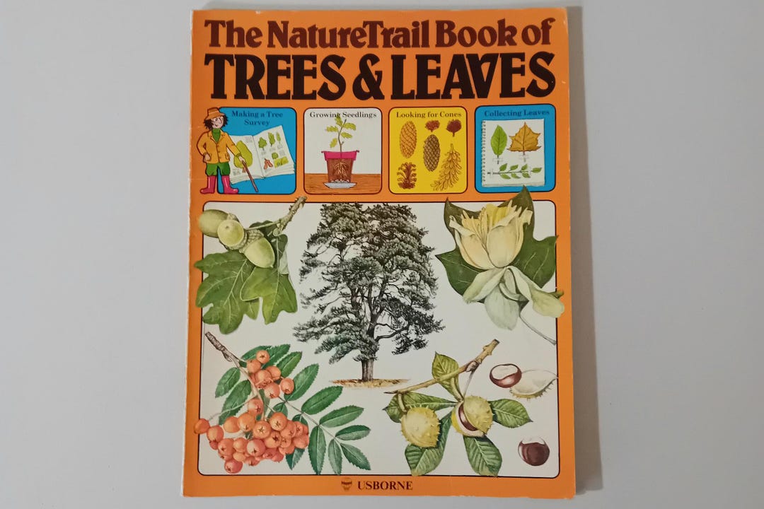 Usborne Nature Trail Book of Trees & Leaves by Ingrid Selberg Vintage ...