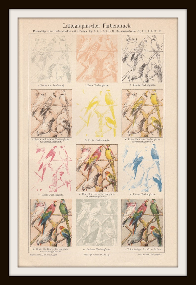 1902 Color Lithography Printing Process Sequence of Color Printing ...