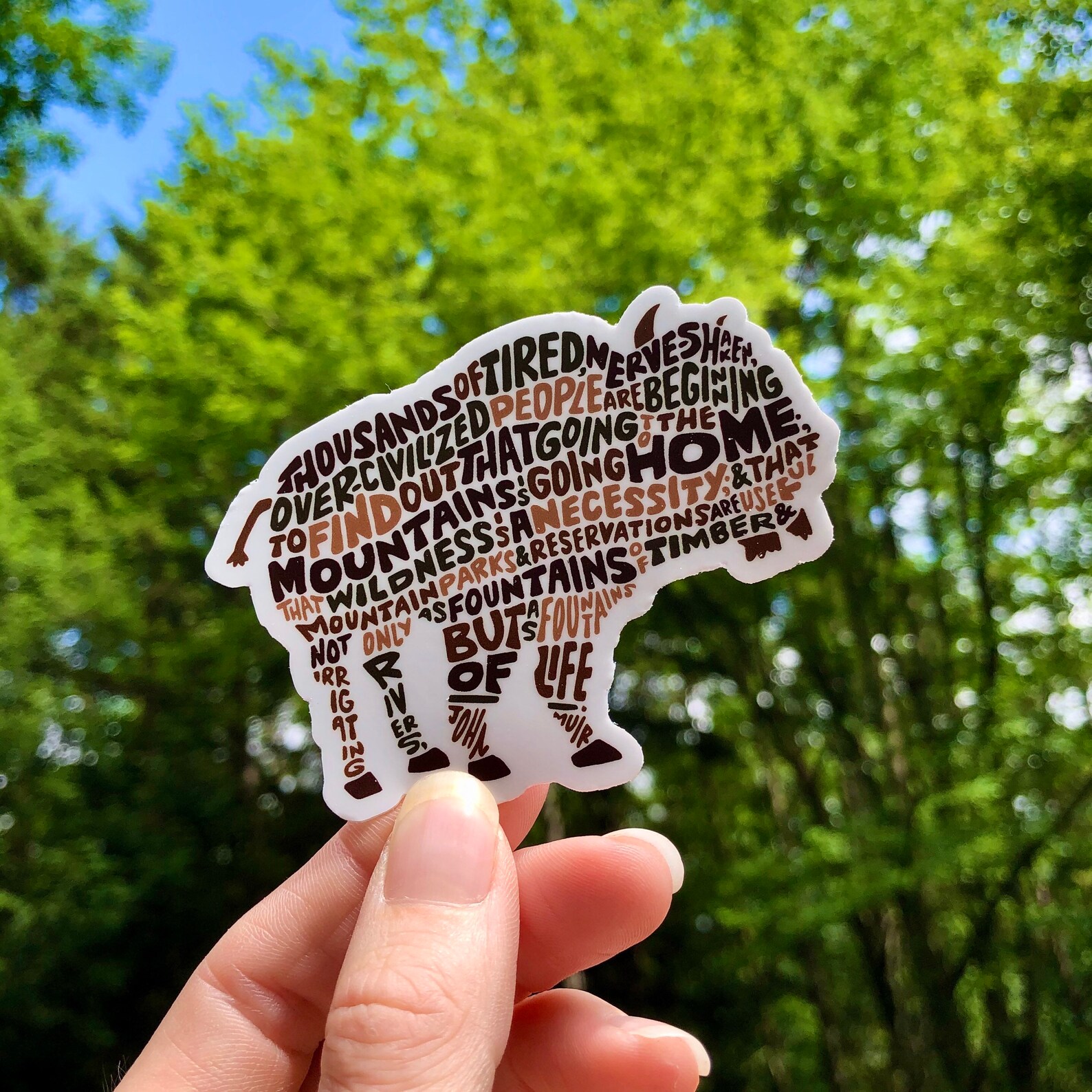 Hand-lettered Bison Sticker, Bison Art Sticker, John Muir Sticker ...