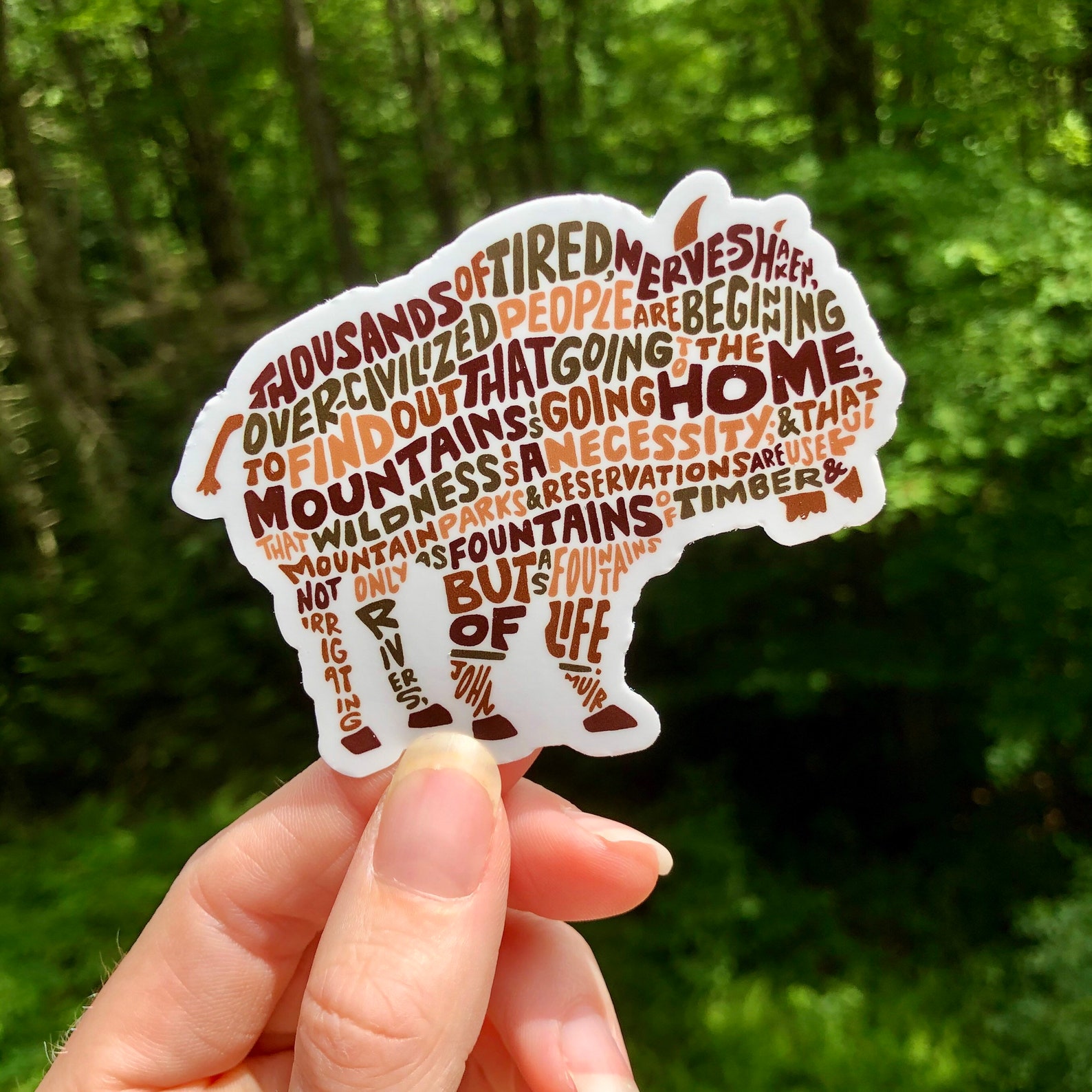Hand-lettered Bison Sticker, Bison Art Sticker, John Muir Sticker ...