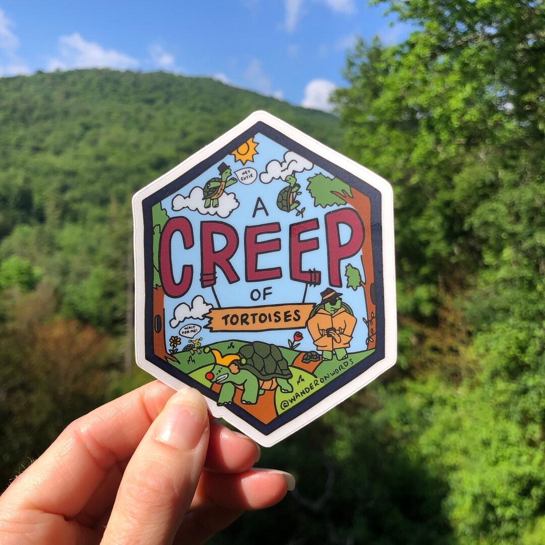 Creep of Tortoises Sticker, Animal Collective Noun Sticker, Turtle ...