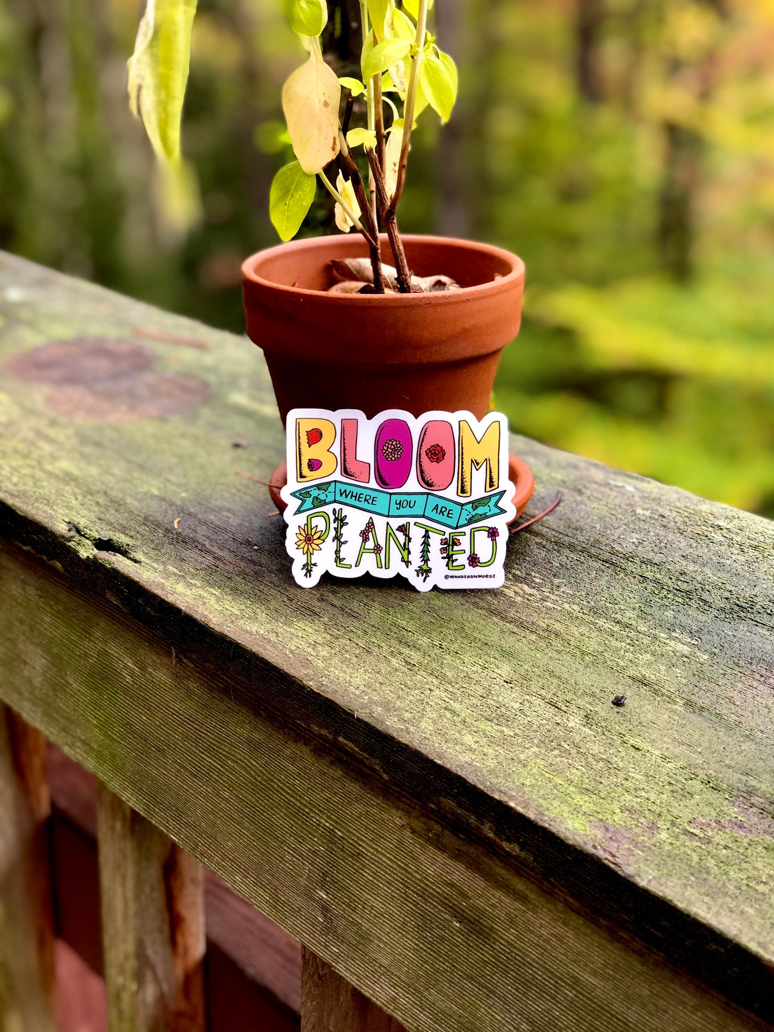 Hand-lettered Bloom Where You're Planted Sticker, Inspirational Sticker ...