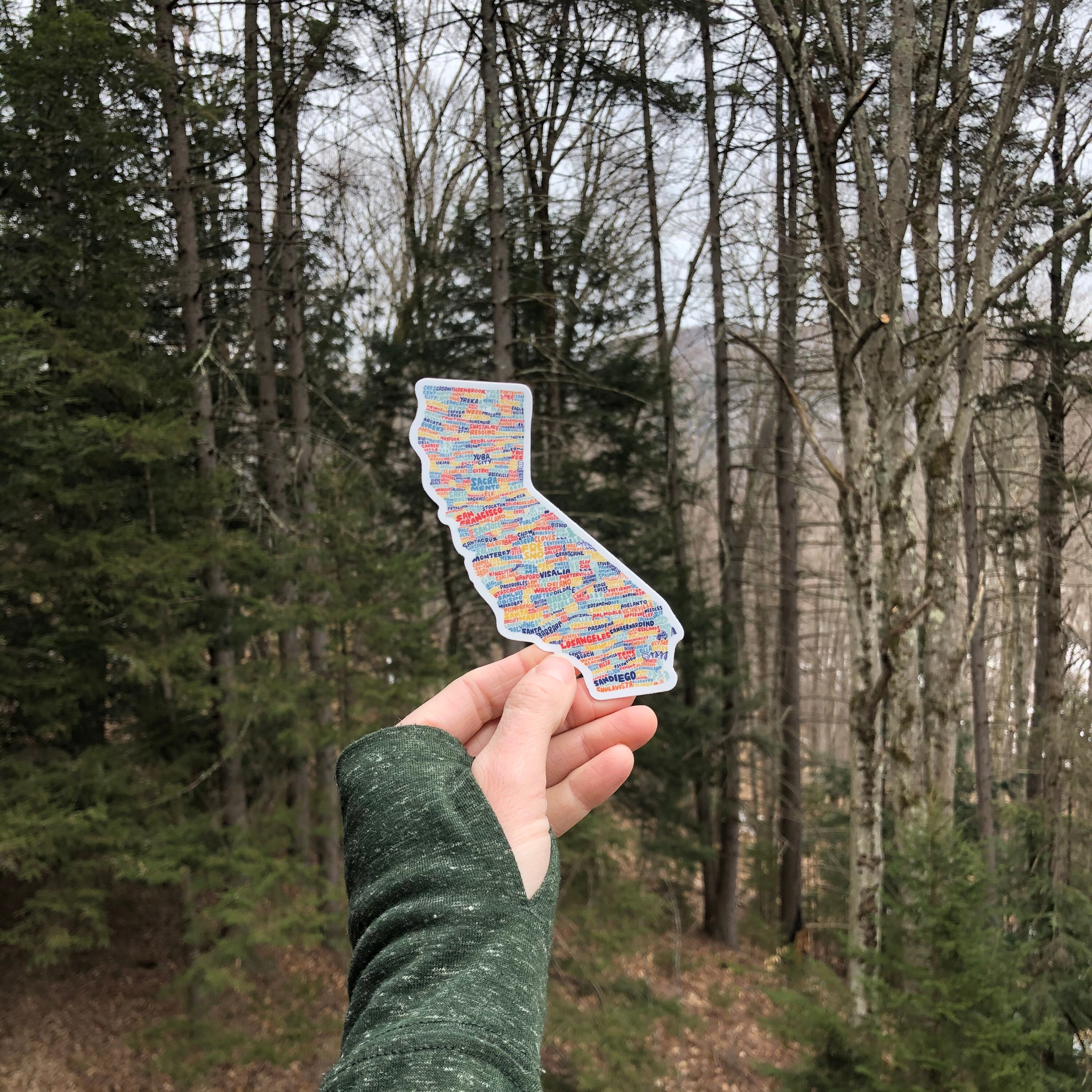 Hand-Lettered California Sticker California Shape Sticker | Etsy