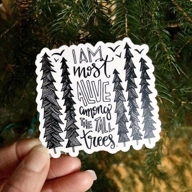 Hand-lettered Tall Trees Sticker Nature Lover Sticker - Etsy