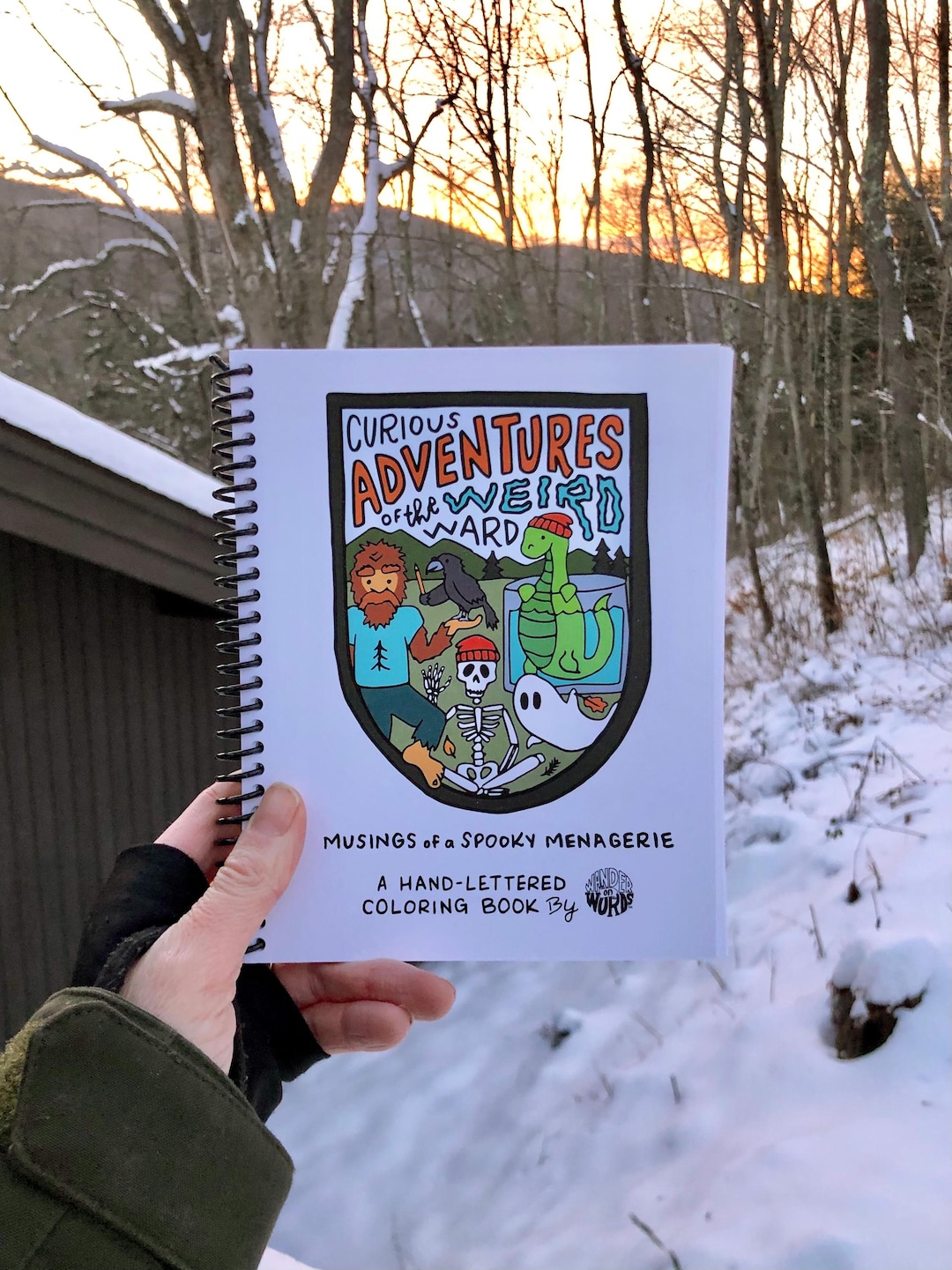 Curious Adventures of the Weird Ward Coloring Book by Wander on Words ...