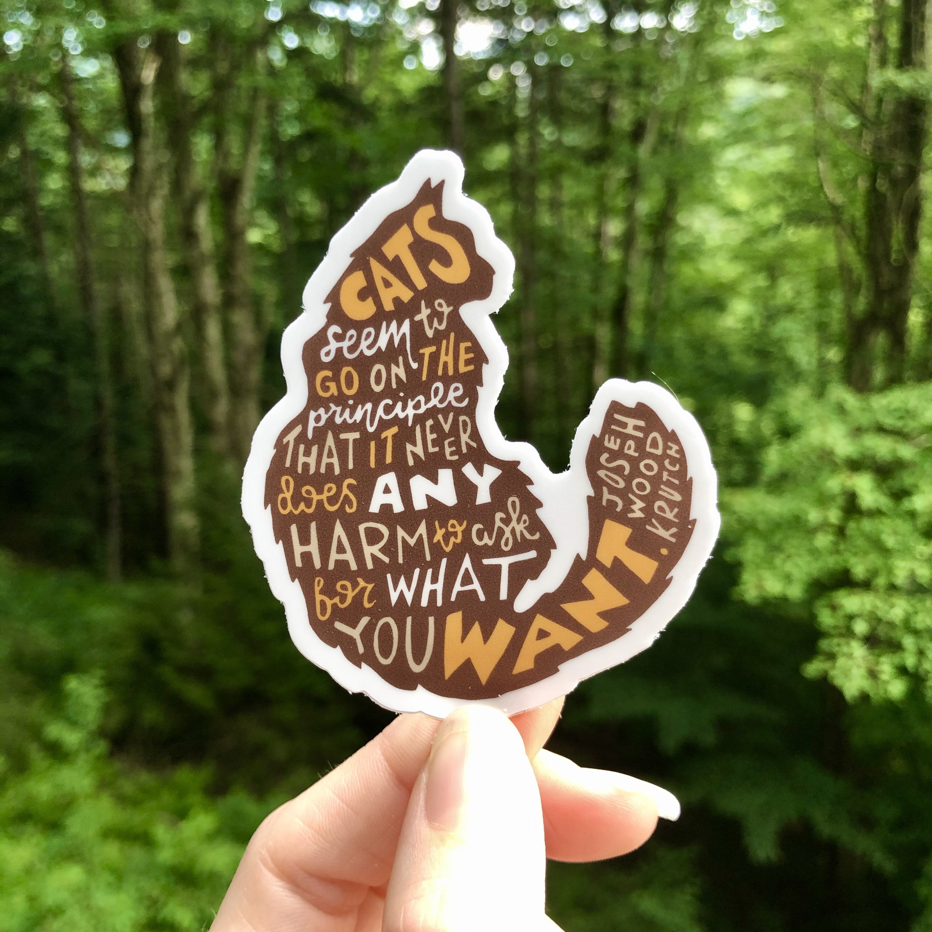Hand-lettered Cat Principles Sticker, Inspirational Sticker, Animal ...