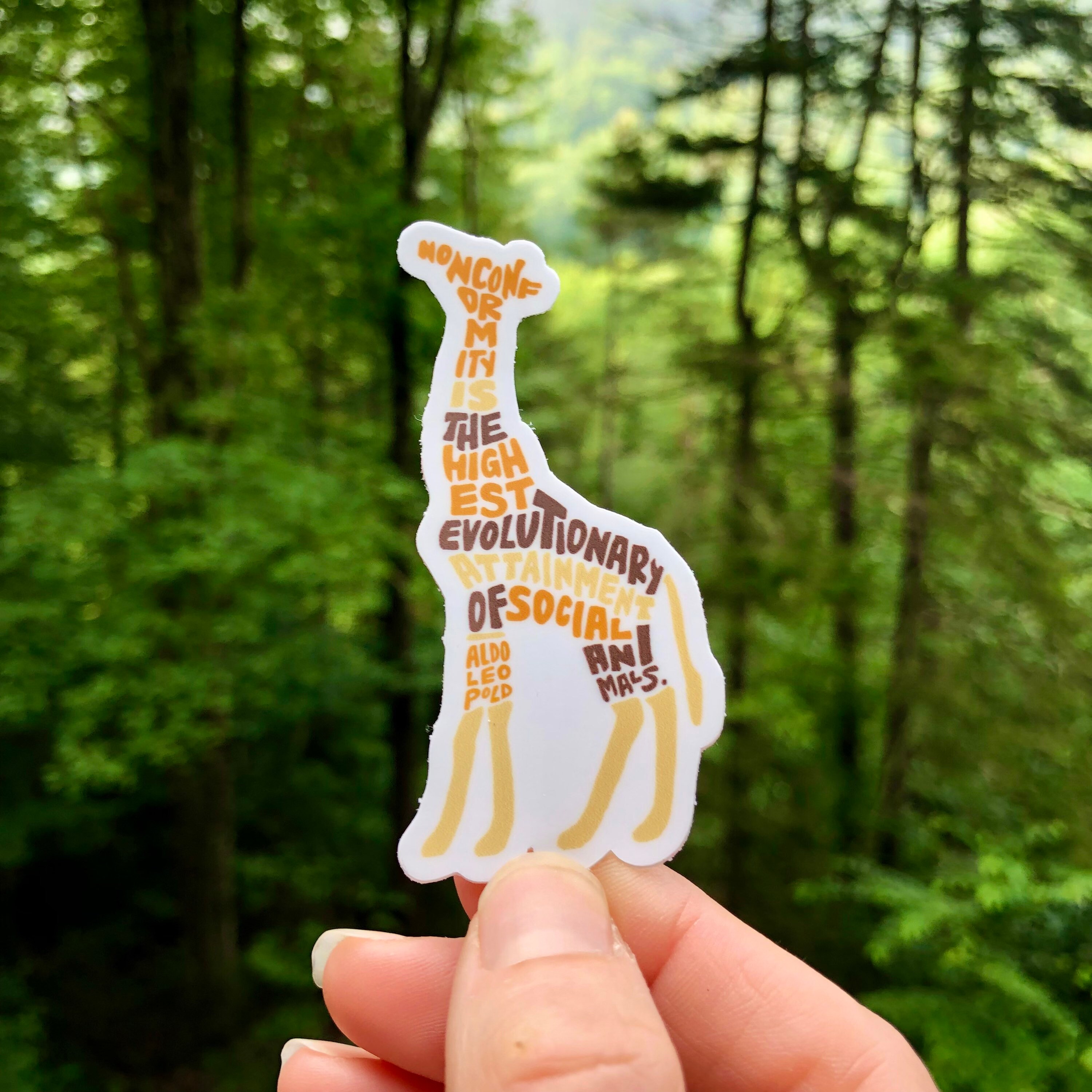 Hand-lettered Giraffe Sticker, Inspirational Sticker, Animal Sticker ...