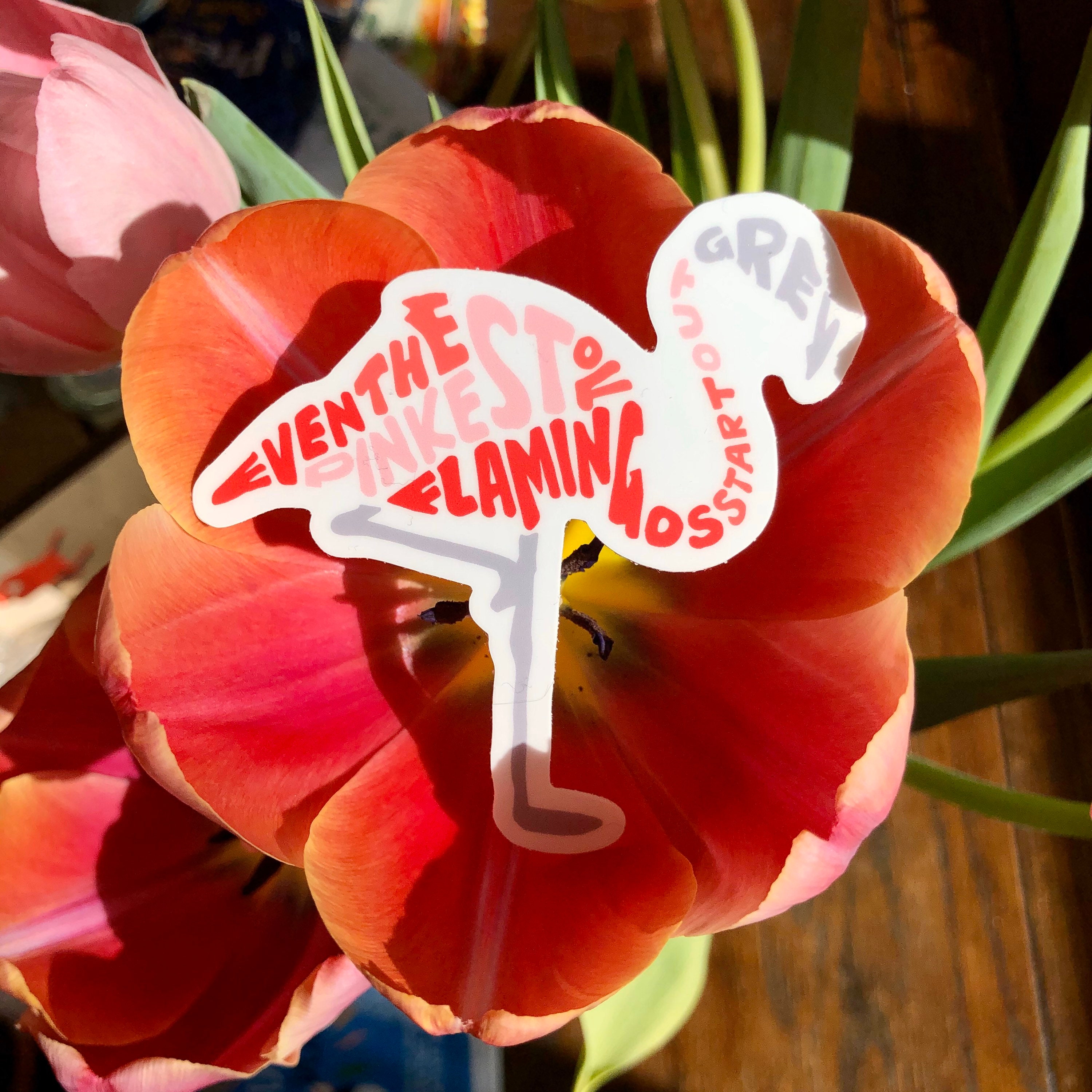 Hand-lettered Flamingo Sticker, Inspirational Sticker, Sticker for ...