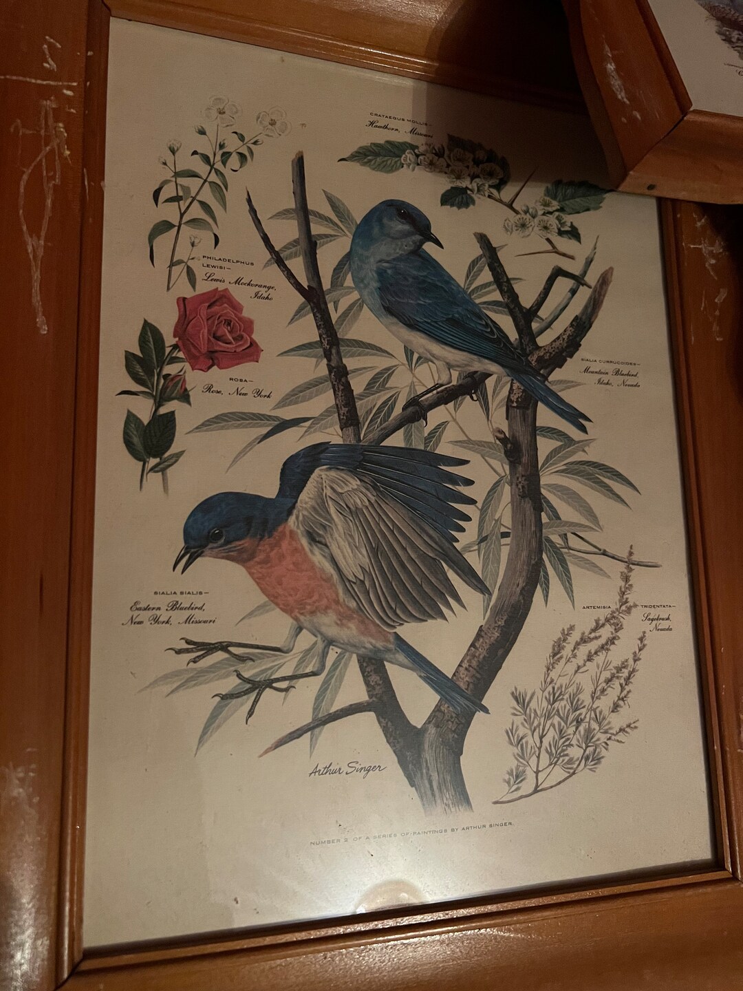 Lot of Four Vintage Arthur Singer Prints All in 11x14 Pine Colonial ...