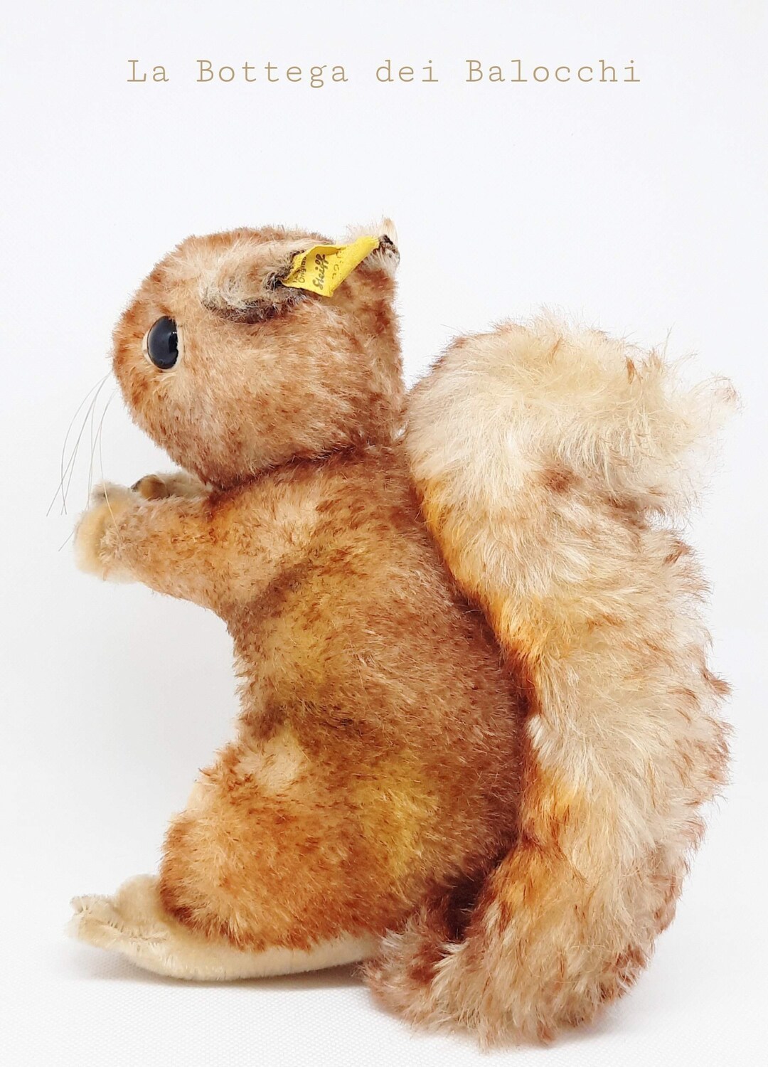 Steiff Squirrel "perri" EAN 4322.03 - Etsy