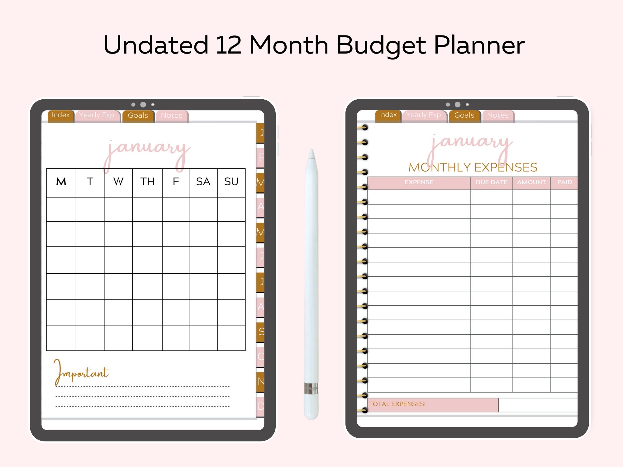 Digital Budget Planner, iPad Budget Planner, Budget Planner Digital ...