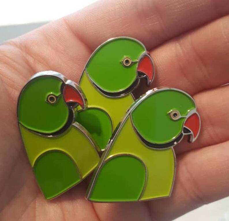 Indian Ringneck Parrot Enamel Pin in Green or Blue - Etsy Australia