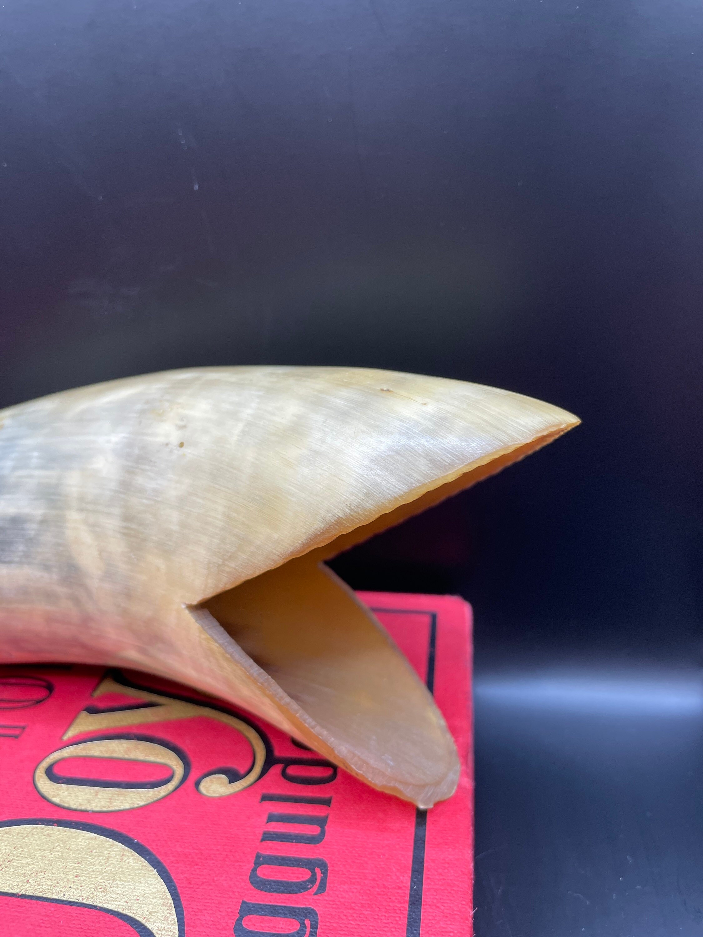 Vintage Hand Carved Cow Horn Fish Sculpture, Folk Art Fish - Etsy