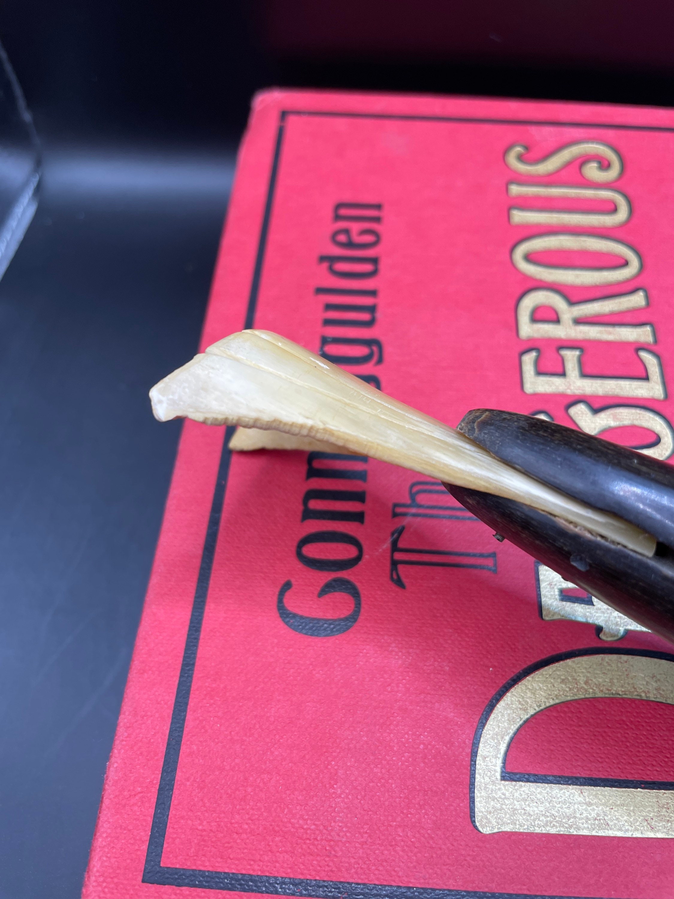 Vintage Hand Carved Cow Horn Fish Sculpture, Folk Art Fish - Etsy