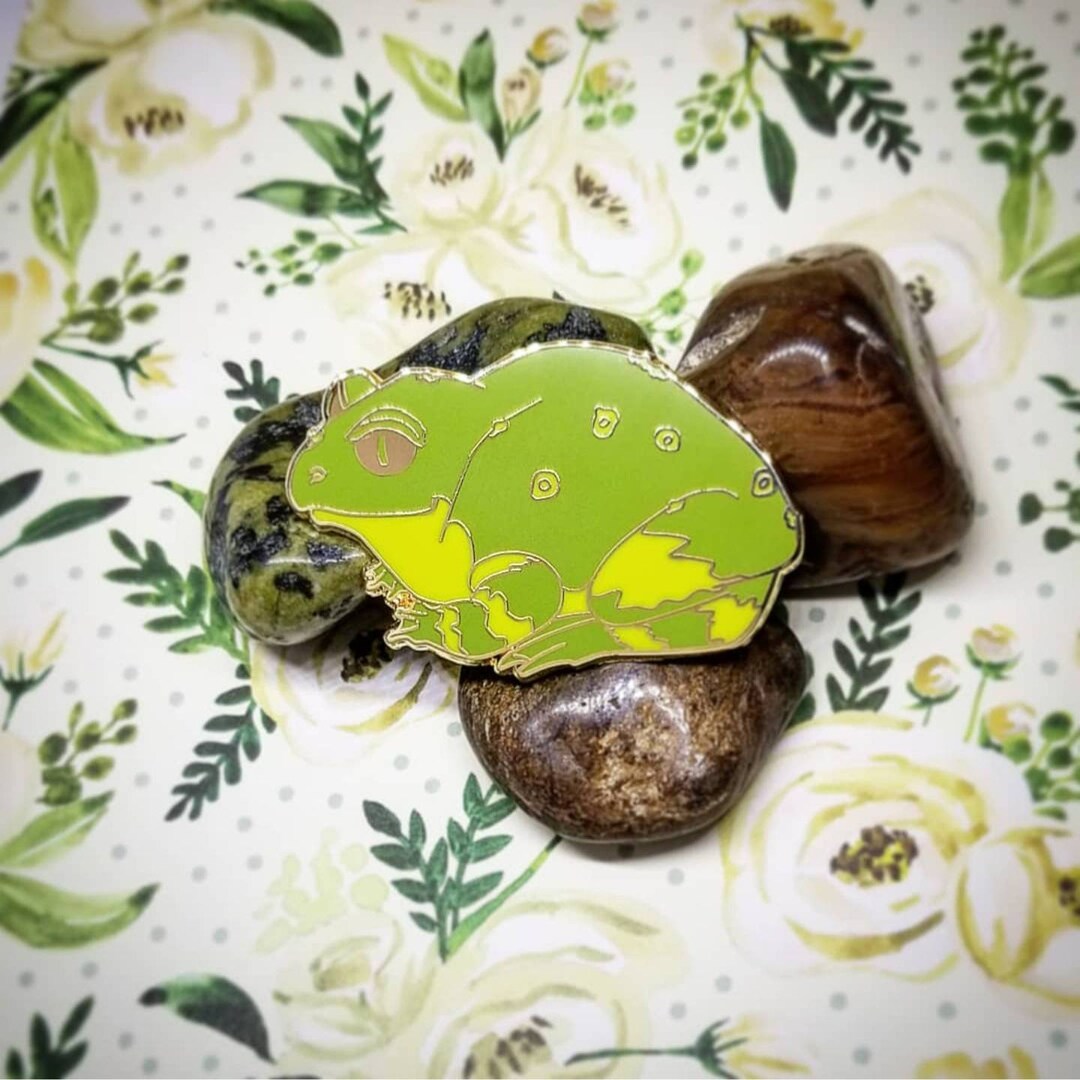 Hard Enamel Pin Toad - Etsy