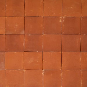 Rustic Terracotta Tiles From Mexico Terracotta Cotto Jahuete by Cerames ...
