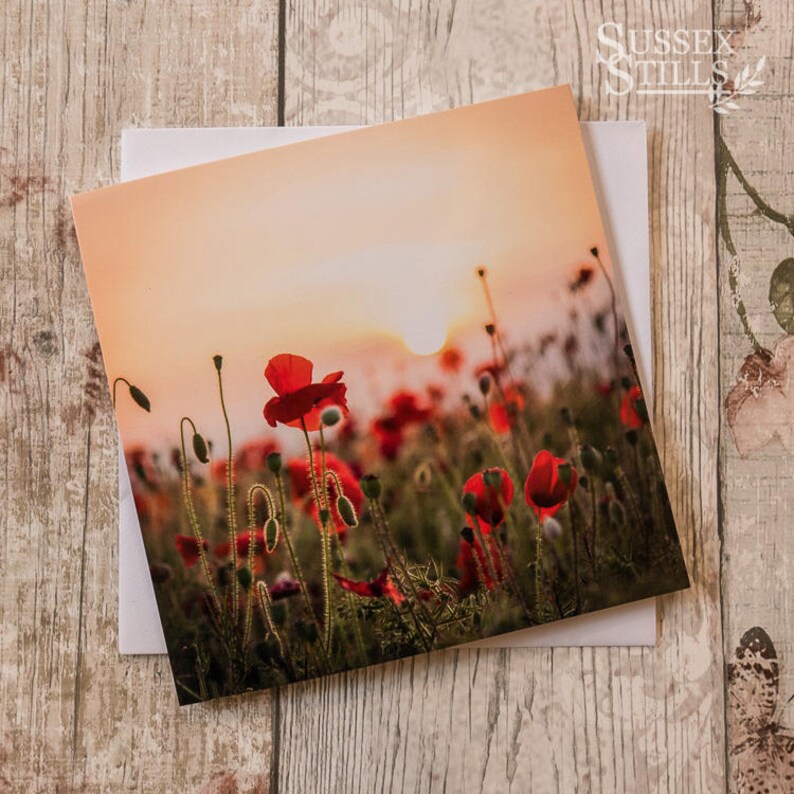 Poppy Fine-art Photographic Card Poppies Photo Card Poppy Print Red ...