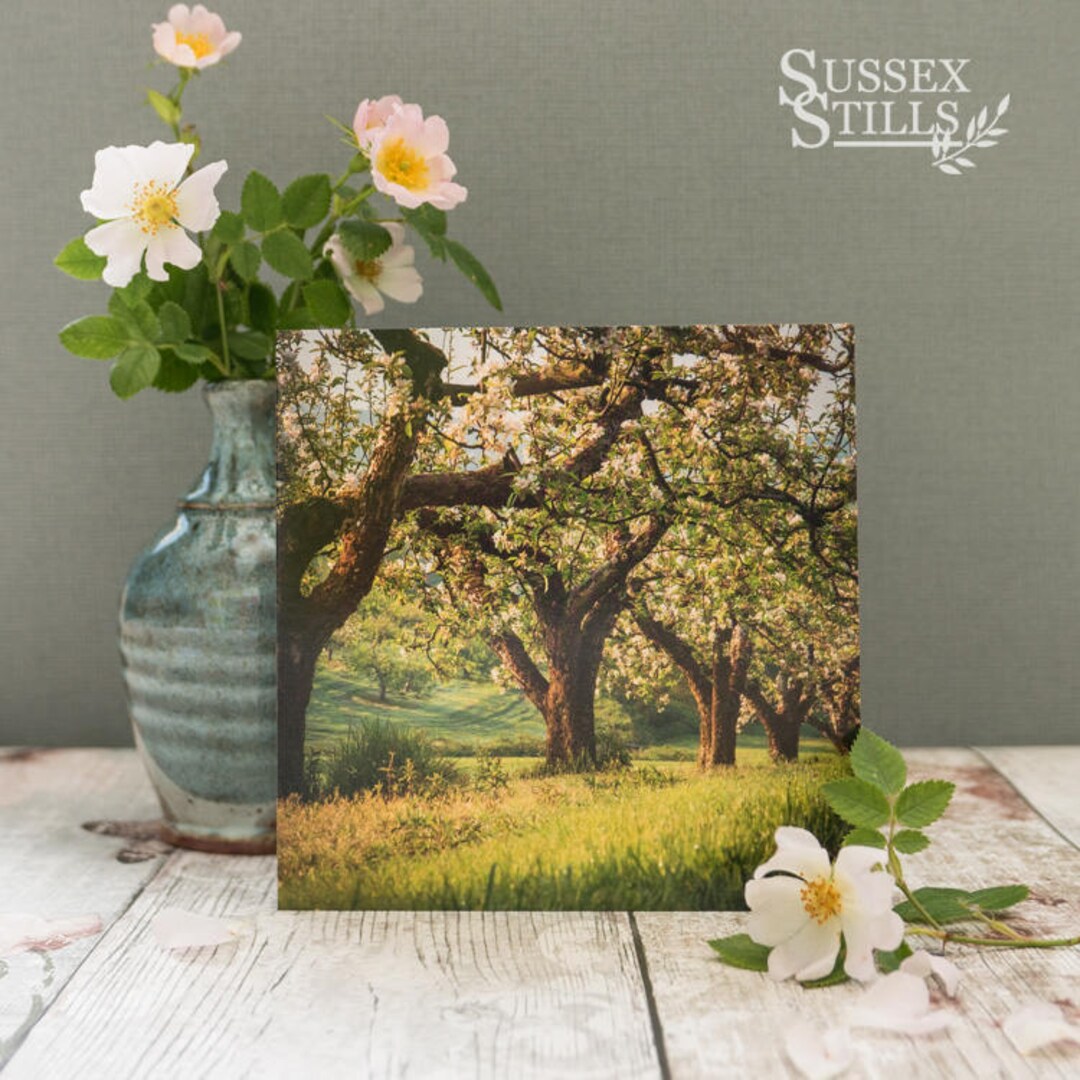 Orchard Fine-art Photographic Card - Orchard Greeting Card - Orchard ...