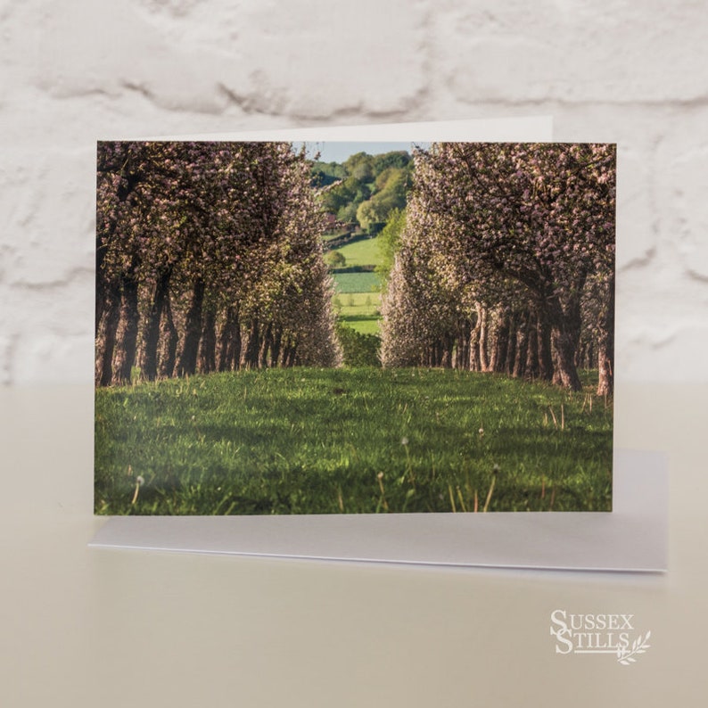 Orchard Photographic Card Apple Tree Photo Card Apple - Etsy