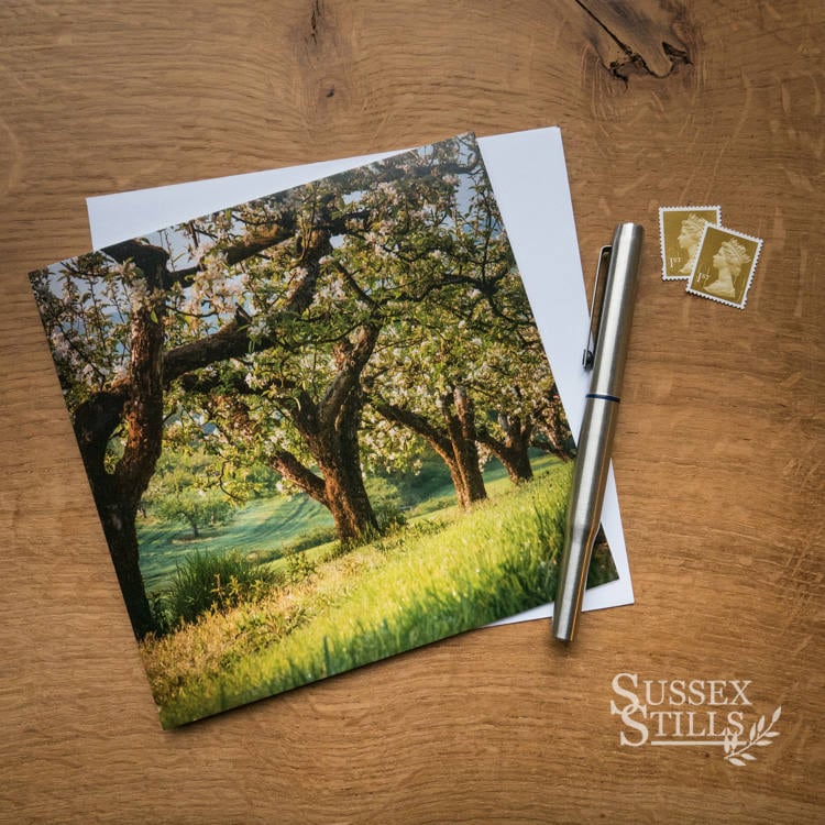 Orchard Fine-art Photographic Card - Orchard Greeting Card - Orchard ...