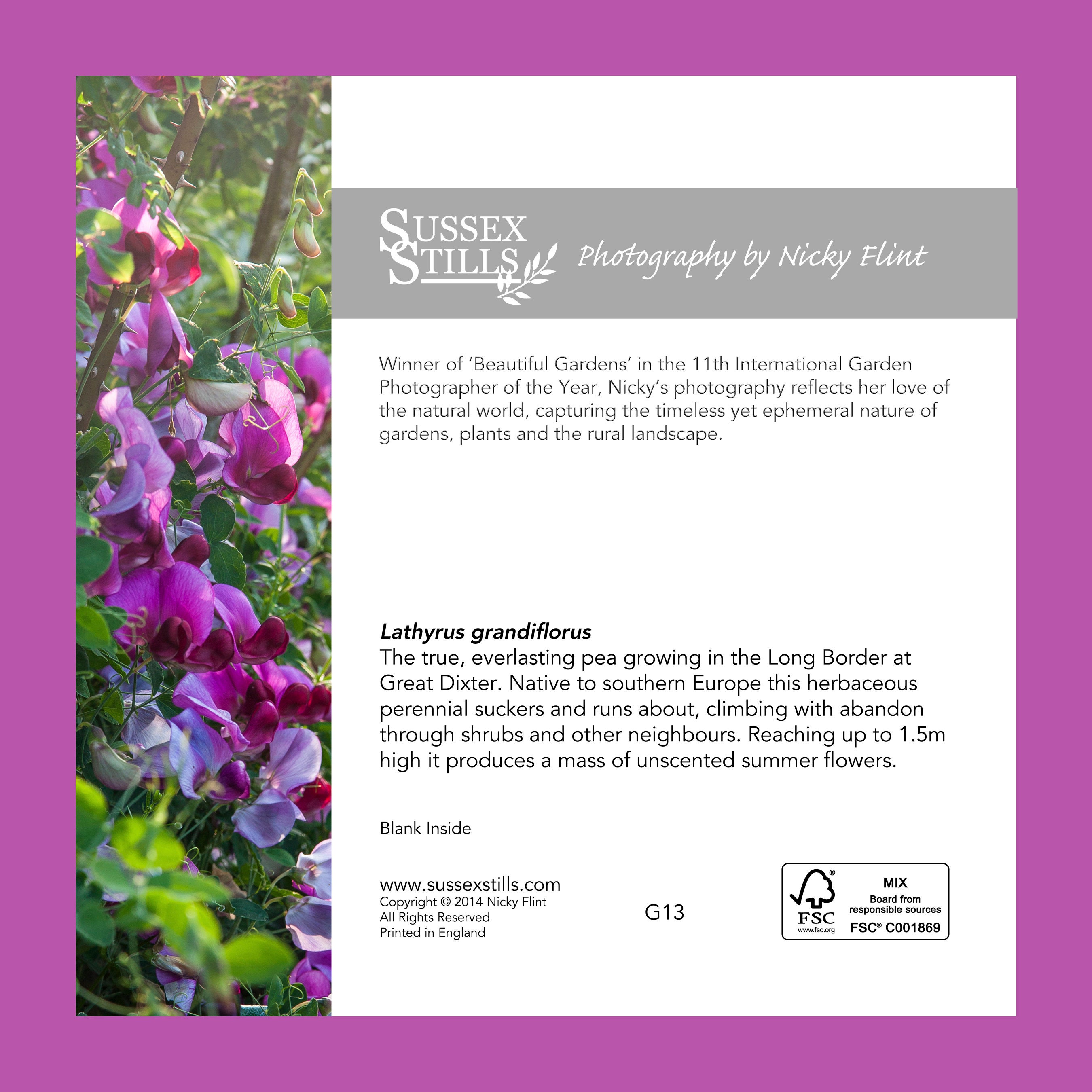 Sweet Pea Fine-art Photographic Greetings Card Flower Card - Etsy