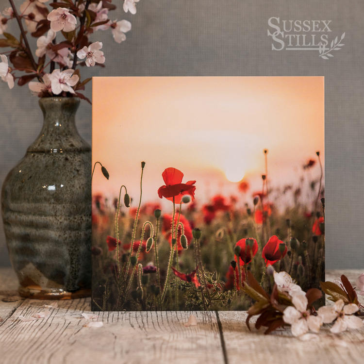 Poppy Fine-art Photographic Card Poppies Photo Card Poppy Print Red ...